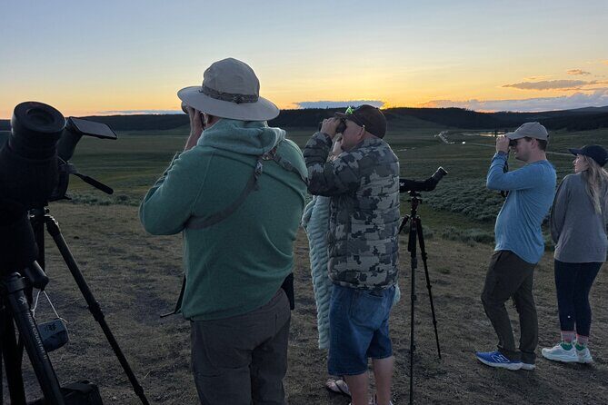 Sunset Hayden Valley Wildlife Safari | Catered Dinner | PRIVATE - Price and Value