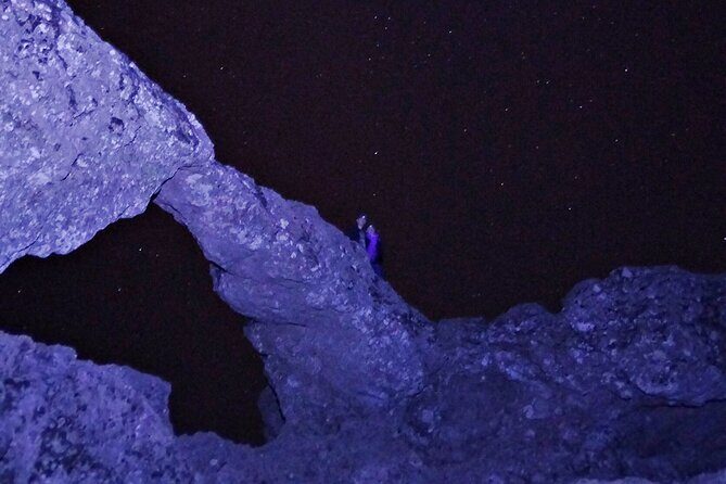 Sunset Hike and Stargazing Experience in Roque Nublo Mountains - The Value of the Tour