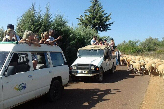 Sunset Jeep Tour through Algarve Countryside from Albufeira - Why This Tour Offers Great Value