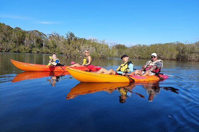 Sunset Kayak Eco Tour with Marine Scientist - An In-Depth Look at the Sunset Kayak Eco Tour