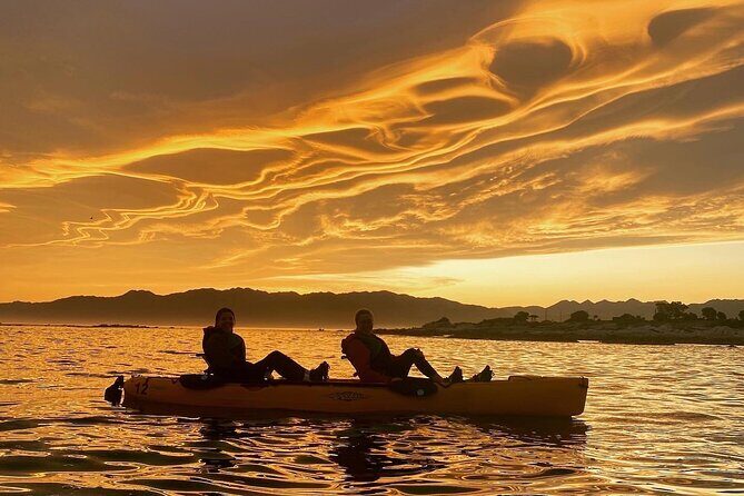 Sunset Kayak tour in Kaikoura - Key Points