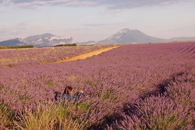 Sunset Lavender Tour in Valensole with pickup from Marseille - Discovering the Lavender Fields: What to Expect