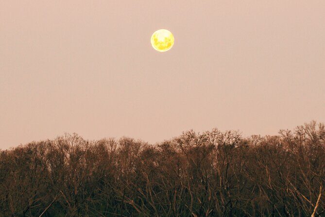 Sunset Nocturnal Adventure Tour - Who Will Love This Tour?