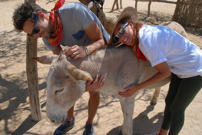 Sunset Pacific Donkey Hiking Tour - Exploring the Itinerary in Detail