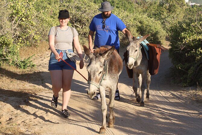 Sunset Pacific Donkey Hiking Tour - Who Should Book This Tour?