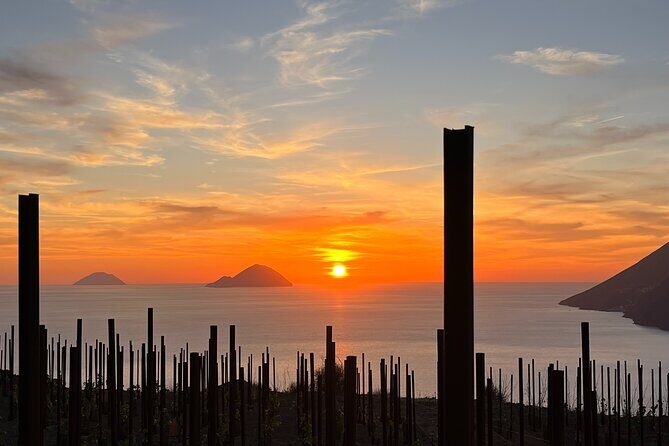 Sunset picnic in the vineyard - Key Points