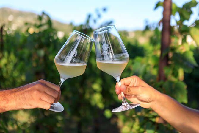 Sunset picnic in the vineyard - An In-Depth Look at the Sunset Picnic Experience