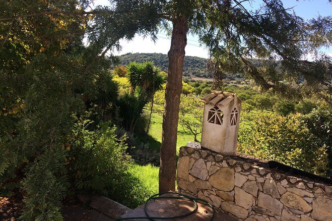 Sunset Safari - What Makes the Sunset Safari Stand Out