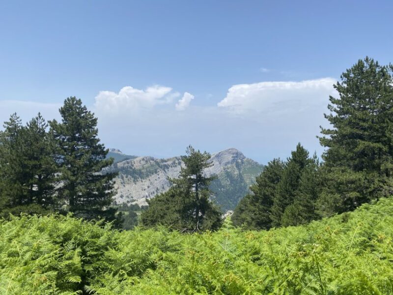 Sunset Safari in Thassos with free refill prosecco & fruits - A Detailed Breakdown of the Sunset Safari Experience