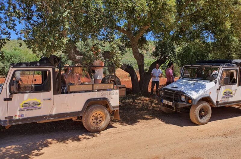 Sunset Safari in the Algarve Mountains - Who Will Love This Tour?