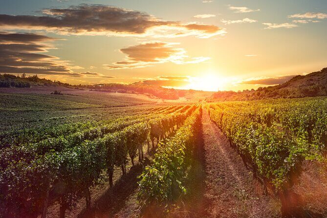 Sunset Sip Wine Tour - Who Should Consider This Tour?  