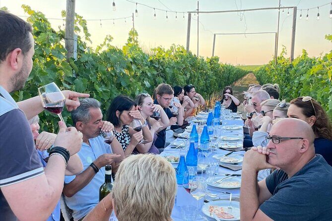 Sunset Summer Dinner Among the Vines  Small Group from Siena - What to Expect from the Itinerary