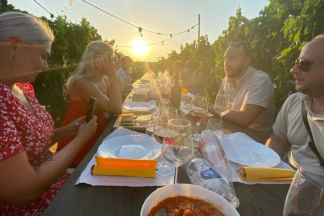 Sunset Summer Dinner Among the Vines  Small Group from Siena - Quality of Food and Wine