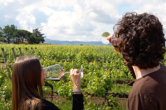 Sunset Summer Dinner Among the Vines  Small Group from Siena - Who Should Consider This Tour?