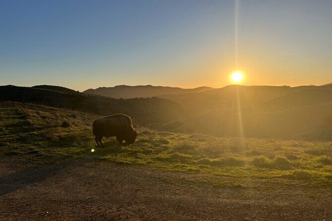 Sunset Summit Catalina Island Shared Tour - Authentic Experiences from Reviewers