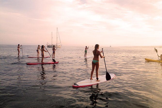 Sunset SUP Tour in Marbella - The Experience: What You Can Expect