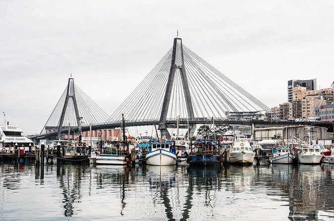 Sunset Sydney Fish Market Tour - The Experience and Practical Details