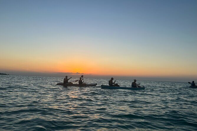 Sunset toast and bioluminescence in clear kayak - The Authentic Experience