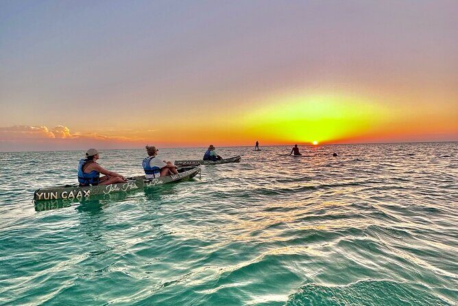 Sunset toast and bioluminescence in clear kayak - Who Should Book This Tour?