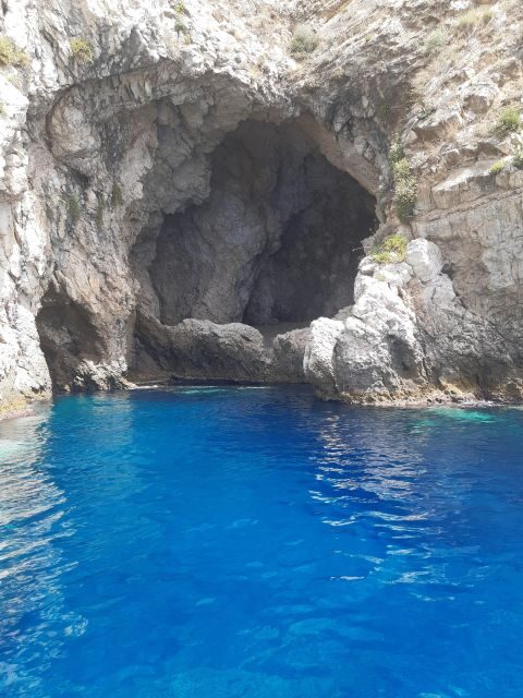 Sunset Tour and Searching Dolphins - The Sum Up