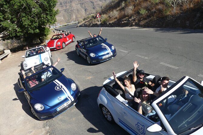 Sunset Tour in Beetle Convertible West Coast - Who Should Book This Tour?