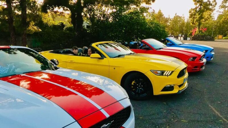 Sunset tour of Mount Teide on a quad bike and in a Mustang convertible - Key Points