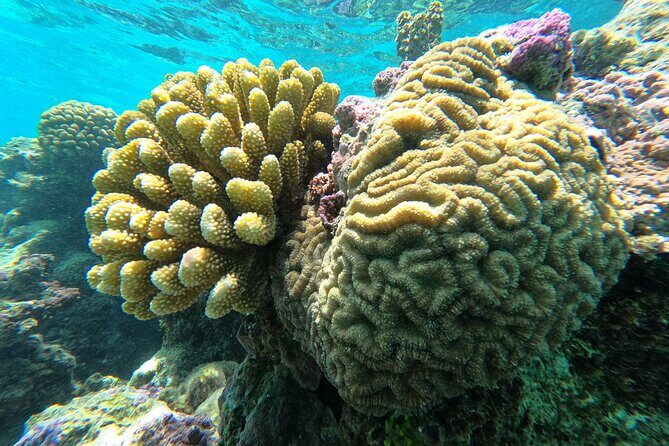 Sunset tour on a unique polynesian sailing outrigger - Final Thoughts: Who Will Love This Tour?