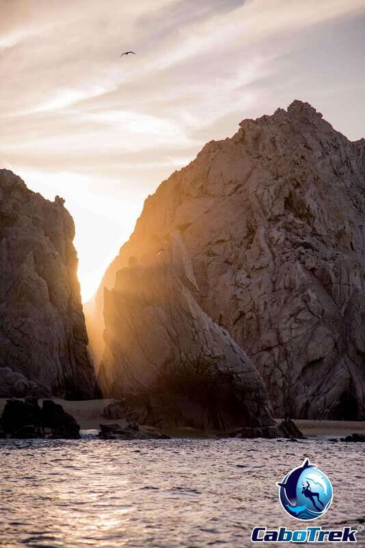 Sunset Whale Watching Cruise in Cabo San Lucas - Experience Overview