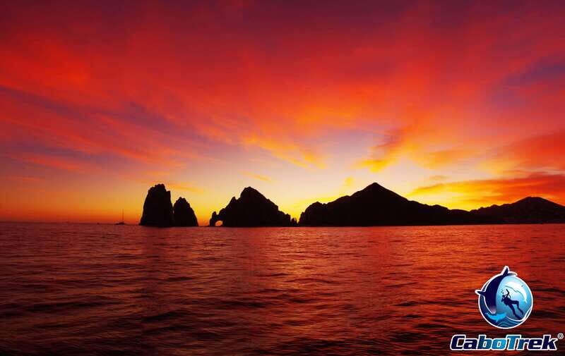 Sunset Whale Watching Cruise in Cabo San Lucas - Is It Worth the Price?