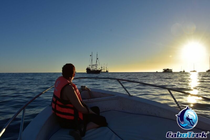 Sunset Whale Watching Cruise in Cabo San Lucas - What Makes This Tour Stand Out?