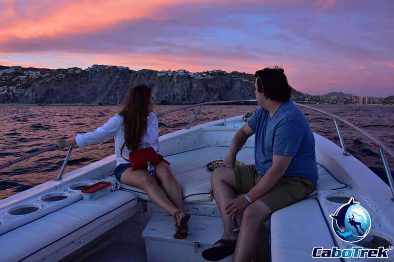 Sunset Whale Watching Cruise in Cabo San Lucas - Final Thoughts