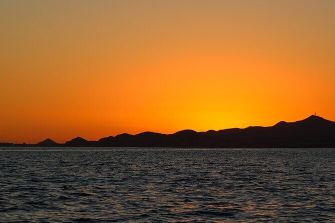 Sunset Whale Watching in San Jose del Cabo - FAQs