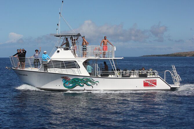 Sunset Whale Watching Shared Activity - The Experience with Kohala Divers: Authentic, Respectful, and Fun