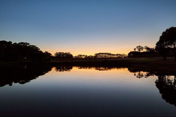 Sunset Wine Tasting Experience at Passel Estate - Introduction: A Unique Sunset Experience in Margaret River