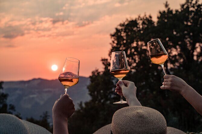 Sunset wine tasting in vineyard - Key Points