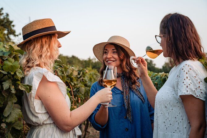 Sunset wine tasting in vineyard - What to Expect from the Sunset Vineyard Tour