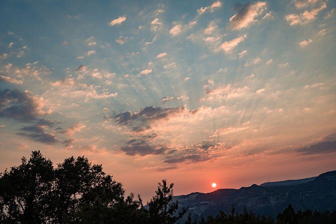 Sunset wine tasting in vineyard - Possible Considerations