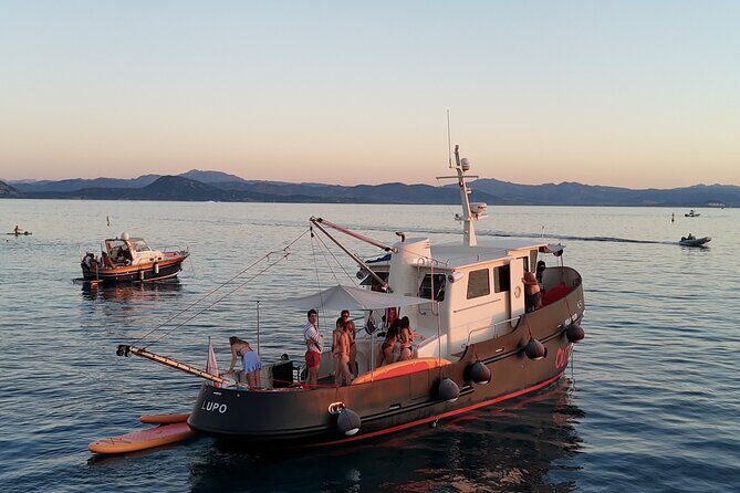 Sunset with dolphins on a vintage tugboat in Golfo Aranci - A Deep Dive into the Experience