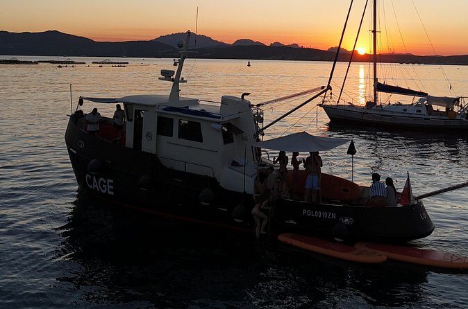 Sunset with dolphins on a vintage tugboat in Golfo Aranci - Practical Tips for Your Trip