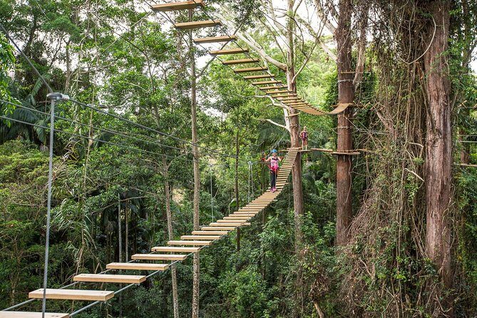 Sunshine Coast Adventure Park TreeTop Challenge - Key Points