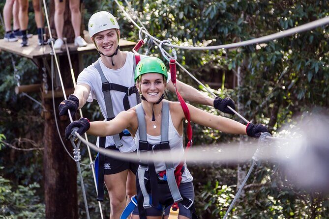 Sunshine Coast Adventure Park TreeTop Challenge - An Adventure Through the Rainforest Canopy