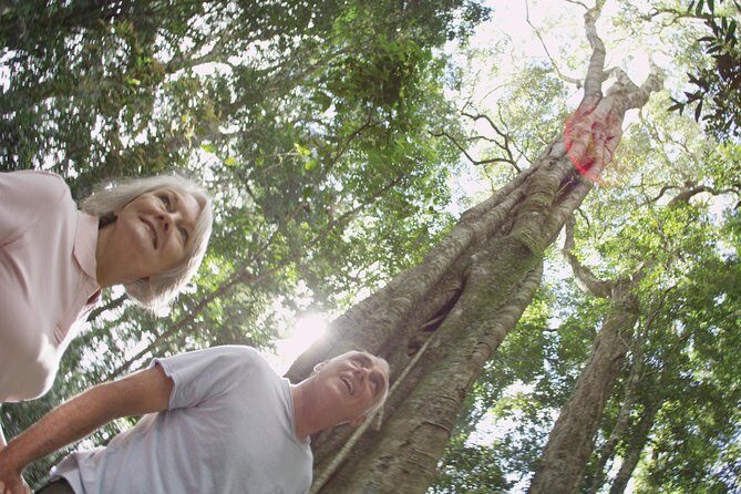 Sunshine Coast and Noosa Private Tour Inc. 2-Course Gourmet Lunch - Who Should Consider This Tour?