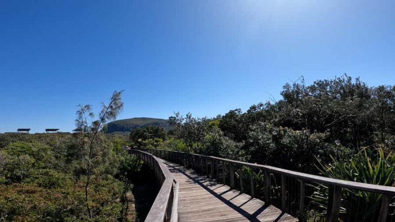 Sunshine Coast: Easy Peasy Novotel North E-Bike Tour - A Closer Look at the Sunshine Coast E-Bike Tour