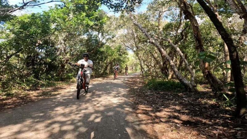 Sunshine Coast: Easy Peasy Novotel North E-Bike Tour - Practical Details & Tips