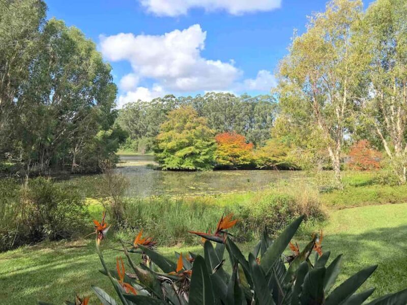 Sunshine Coast: Ginger Factory, Eumundi, & Botanic Gardens - FAQs