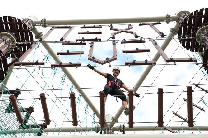 Sunshine Coast High Ropes Course - Key Points