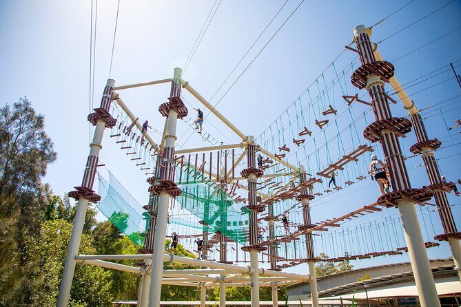 Sunshine Coast High Ropes Course - Experience Duration and Group Size