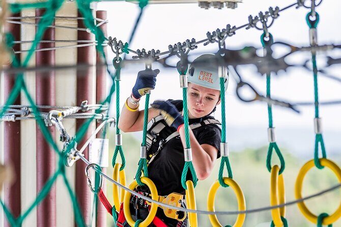 Sunshine Coast High Ropes Course - What to Know Before You Go