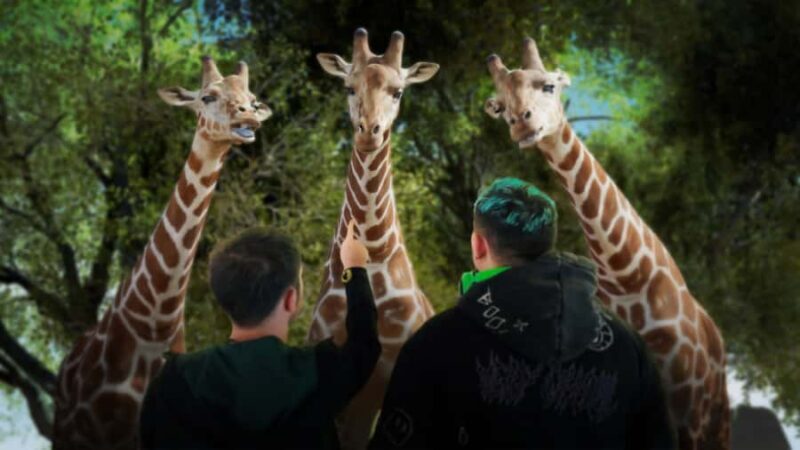 Sunshine Coast: Hologram Zoo Africa Adventure - Key Points