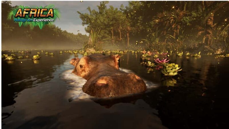 Sunshine Coast: Hologram Zoo Africa Adventure - An Authentic Look at the Hologram Zoo Africa Adventure